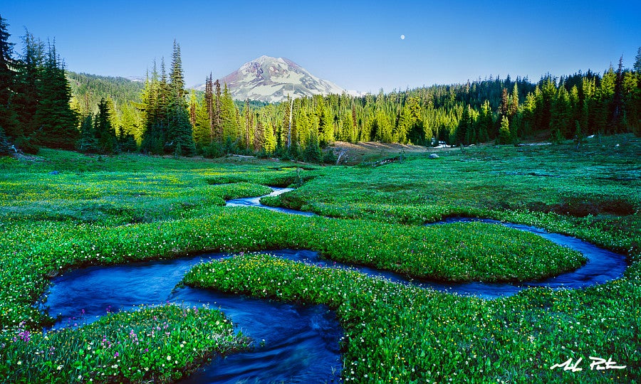Flow: New Oregon Law Photography Exhibit Runs Now Through July 1 ...